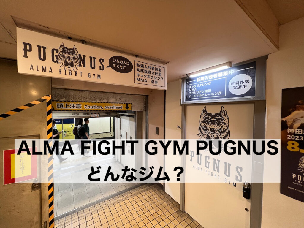 ALMA FIGHT GYM PUGNUSってどんなジム？口コミや評判、魅力まで紹介します - マナナンブログ