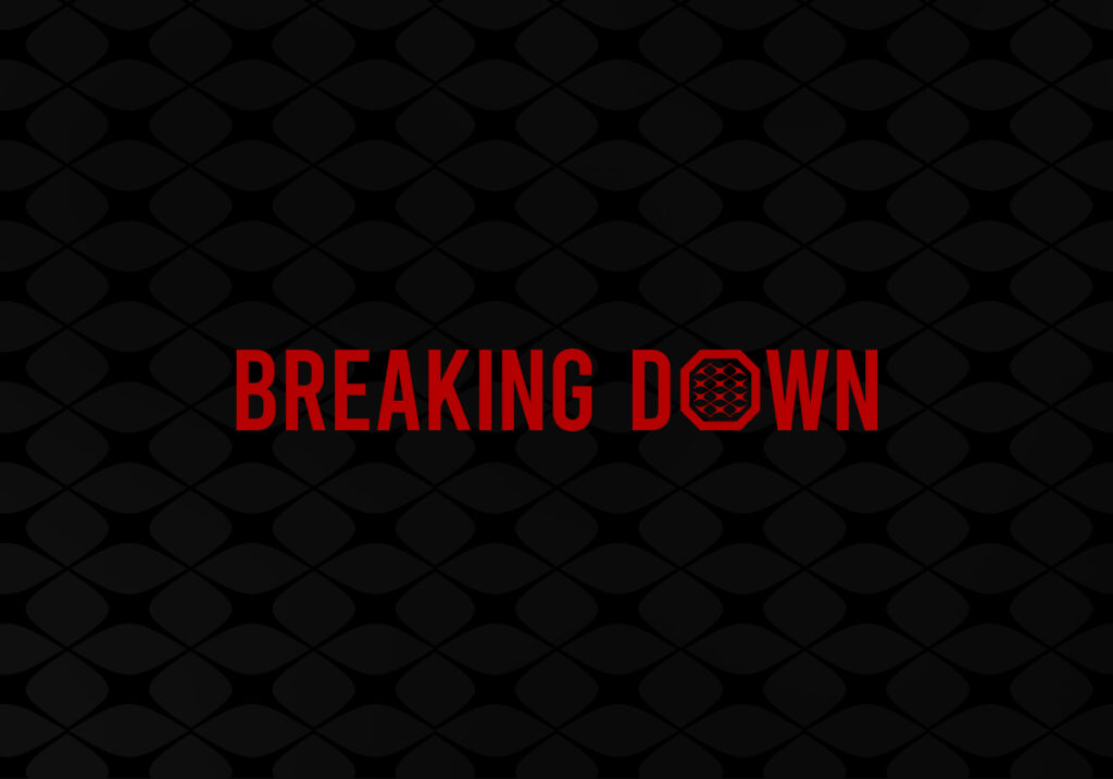 金城｜戦績・プロフィールまとめ