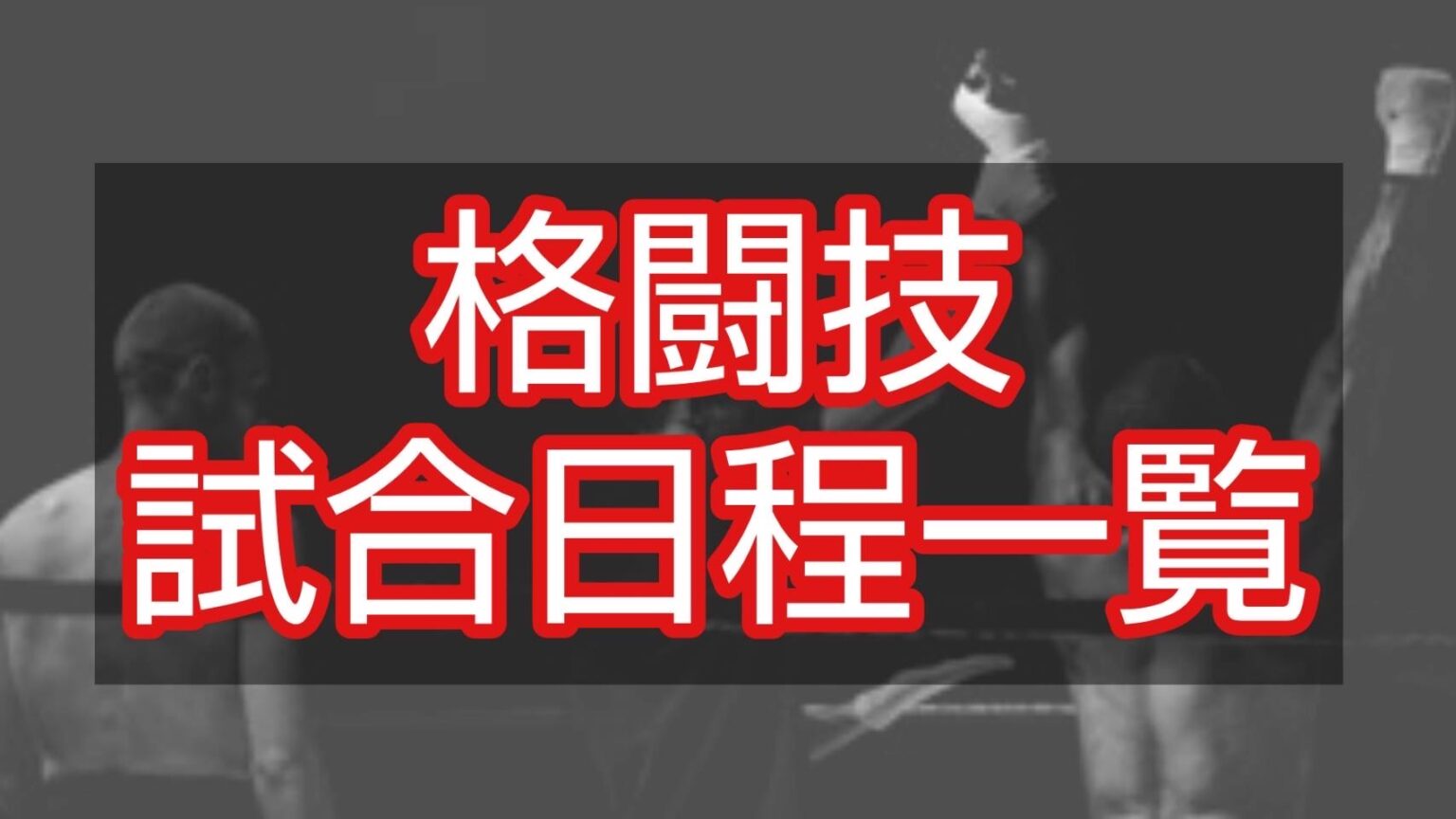 TRIBE TOKYO MMAってどんなジム？口コミや評判、魅力まで紹介します - マナナンブログ